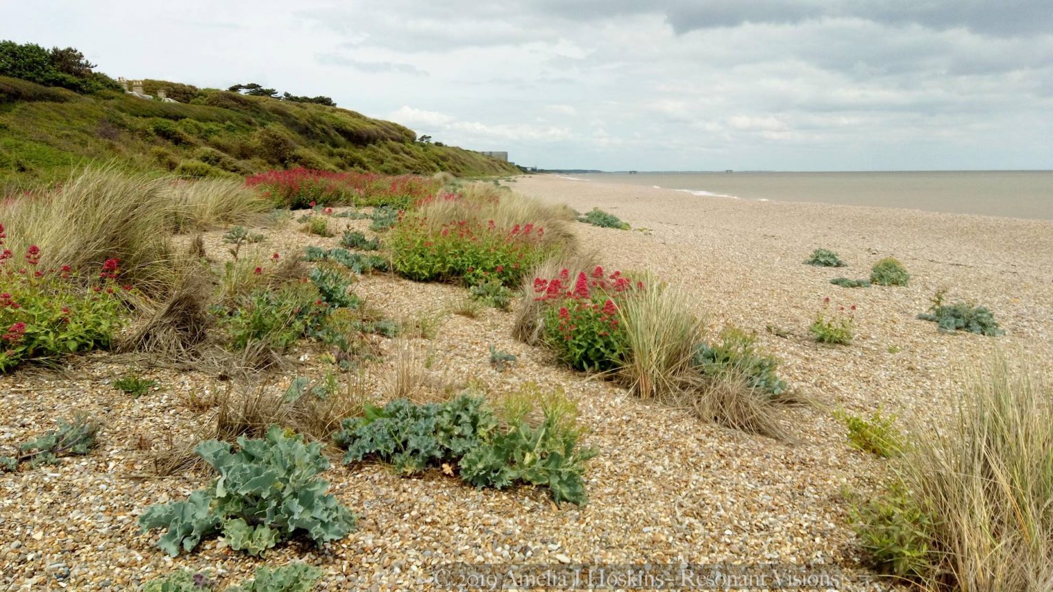 Turbine Mass Death – Synthetic Agenda